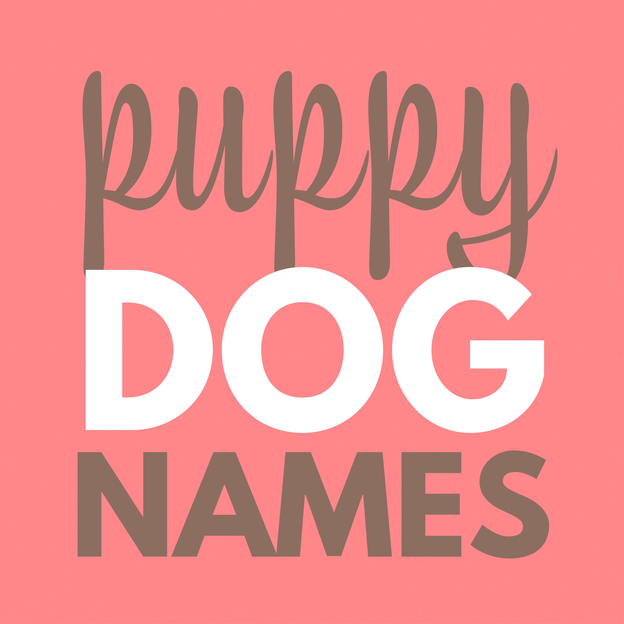 What Should I Name My Puppy Doodle Dog Town What Should I Name My Puppy Doodle Dog Town